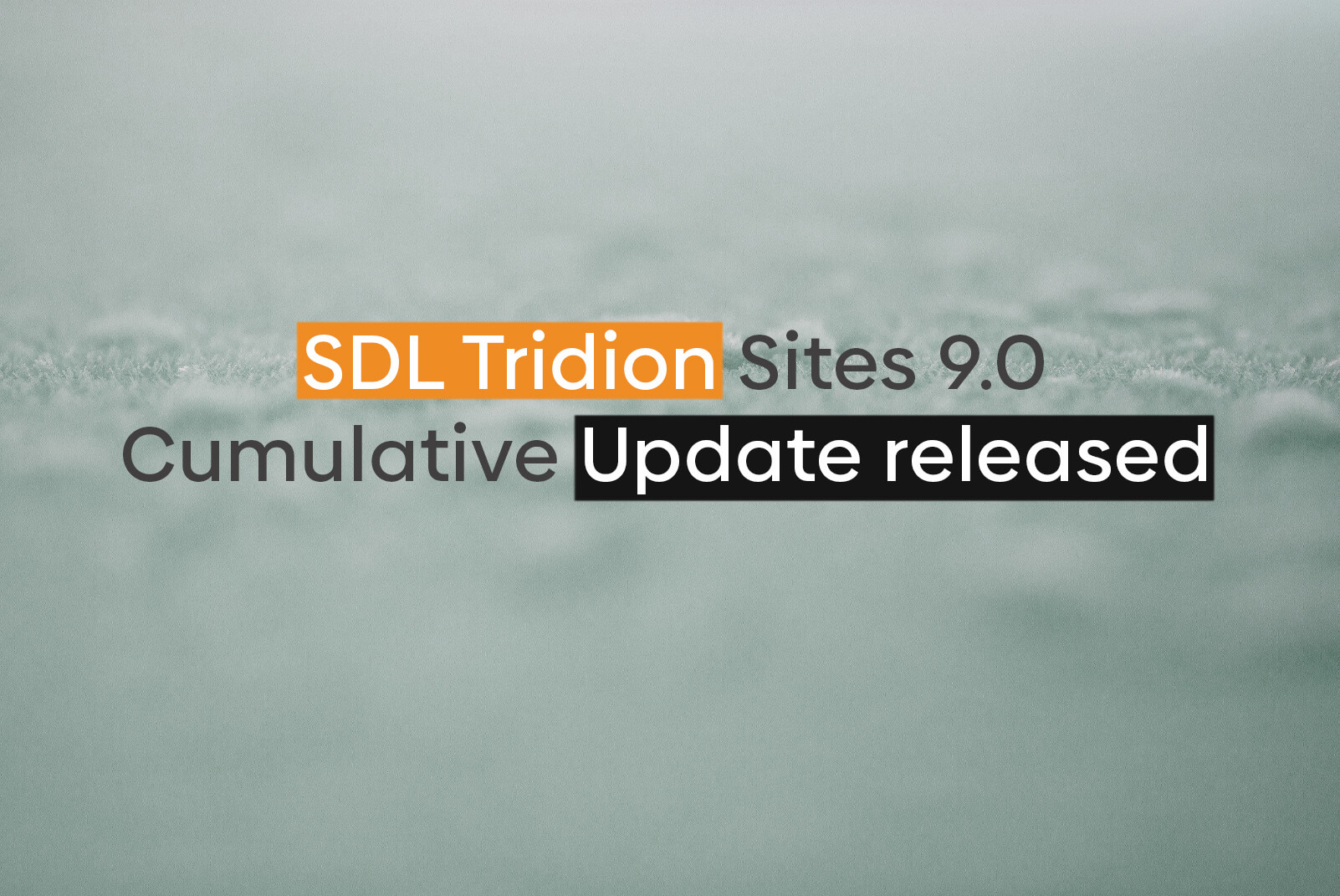 EXLRT's Blog | EXLRT